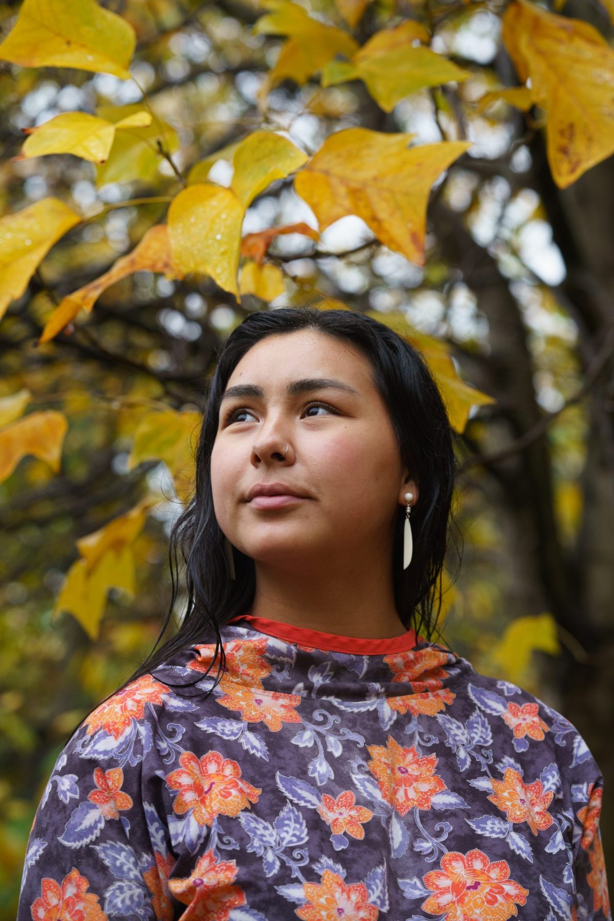 SEARCH—Cassidy Daniel